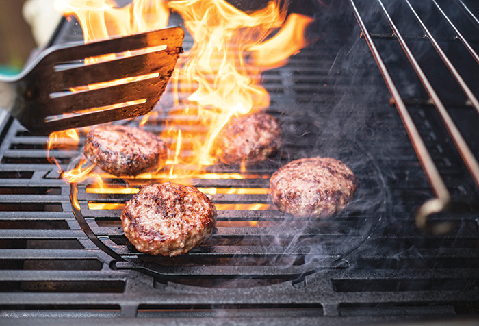Safe Grilling: Being Careful at Cookouts | Berkshire Hathaway GUARD ...